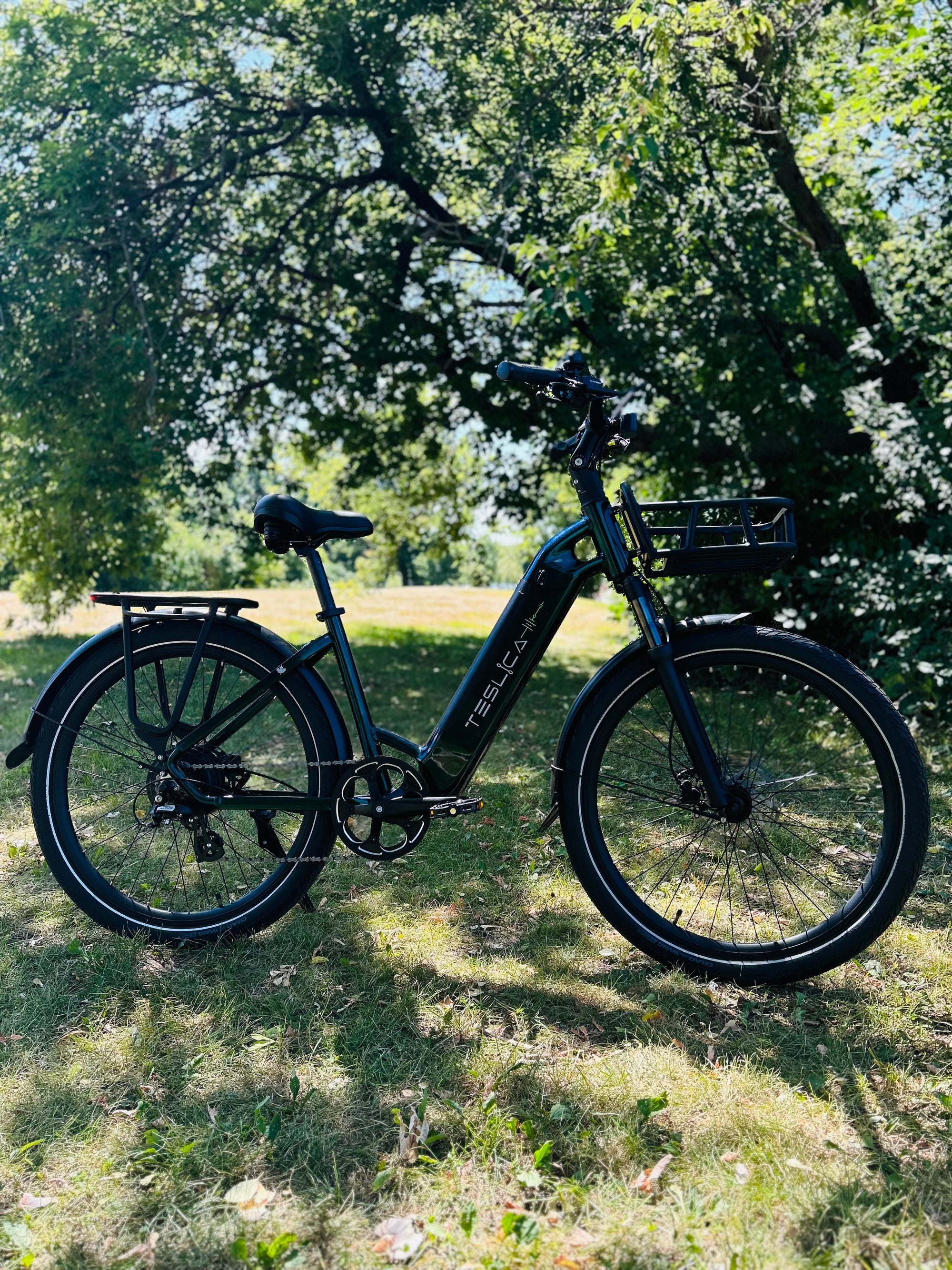 Teslica eBikes – Ride the Wind Ebikes