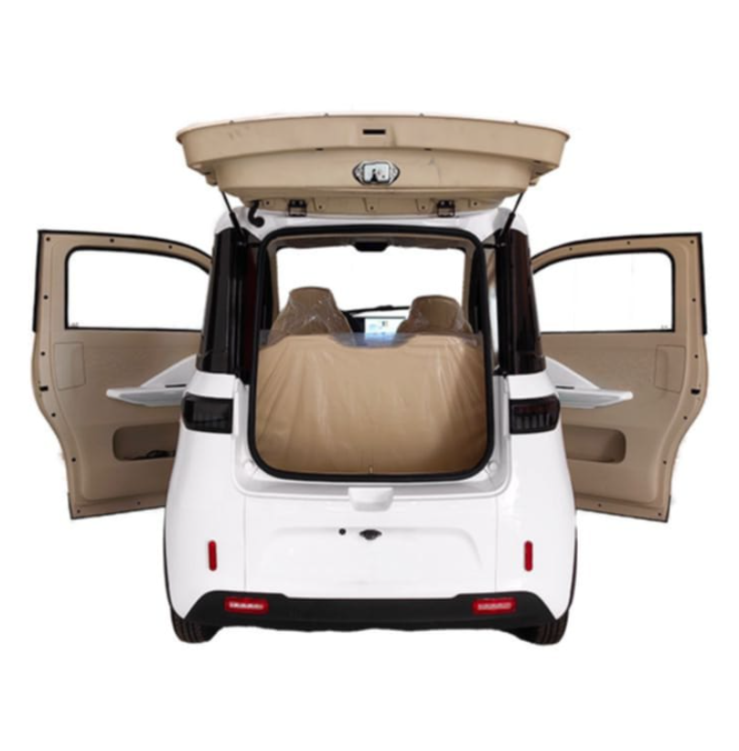 Enclosed Mobility – Ride the Wind Ebikes